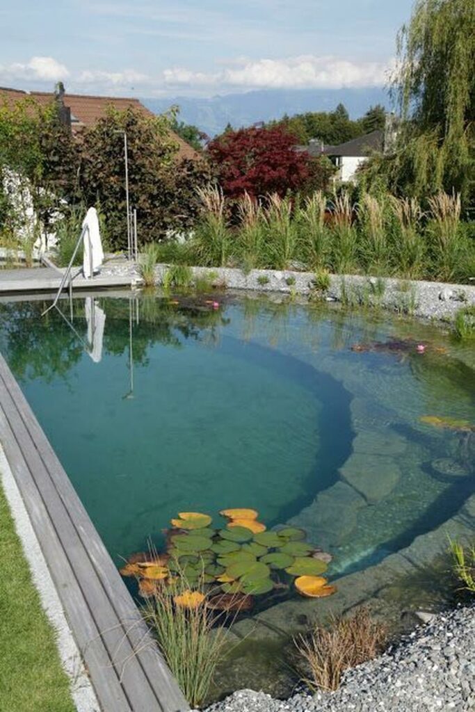 44 Beautiful Natural Swimming Pond and Pool Ideas
