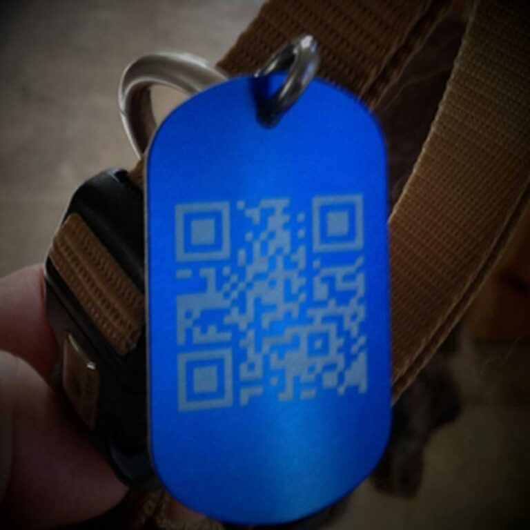 10 Easy DIY Dog Tag Ideas to Try at Home