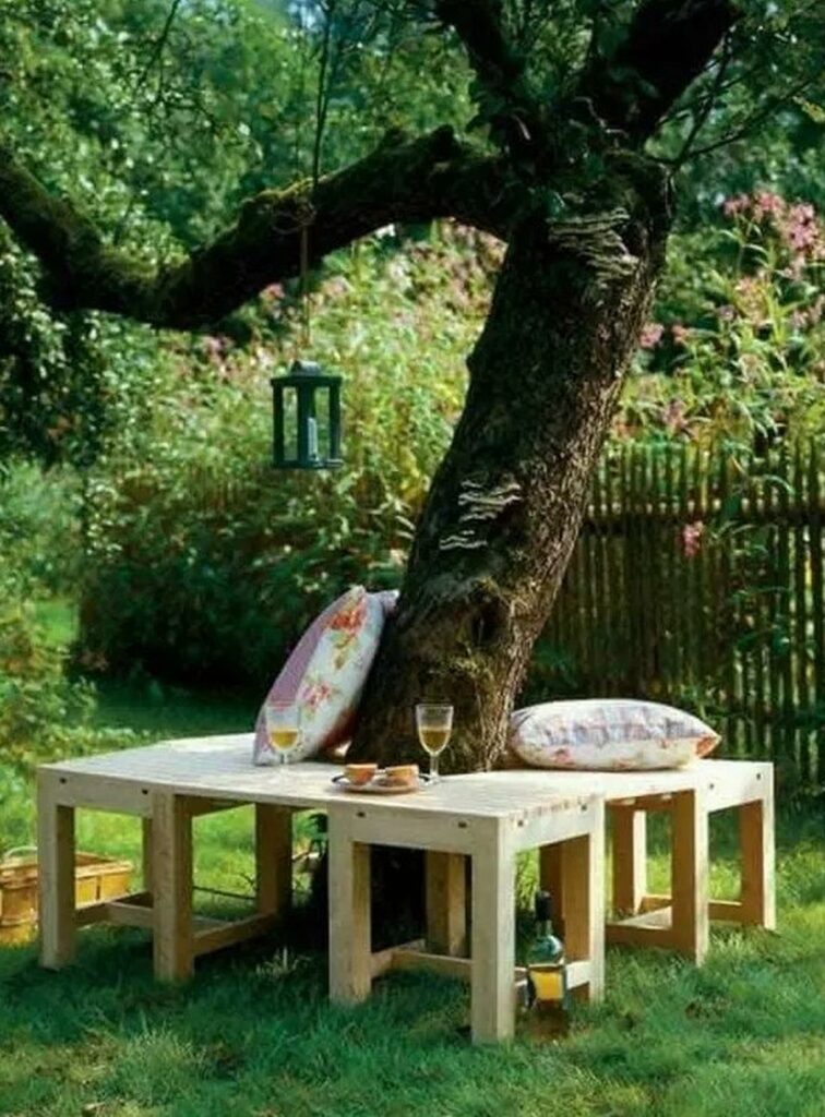 42 Smart Ways to Enhance Tree Surroundings