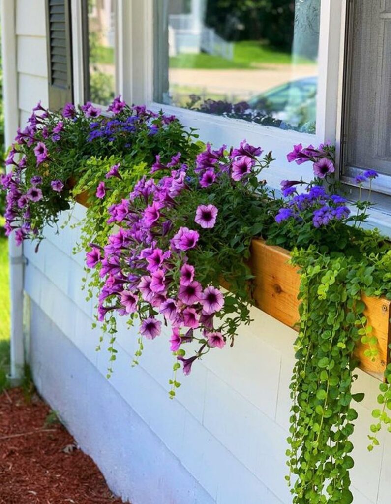 48 Beautiful Window Box Decorating Ideas
