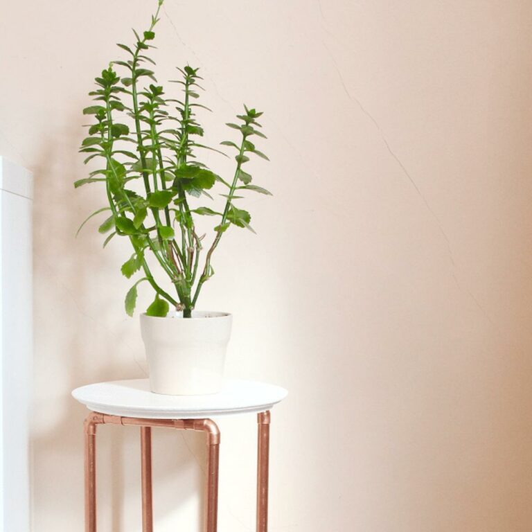 18 Easy DIY Custom Furniture Legs Ideas for Unique Makeovers