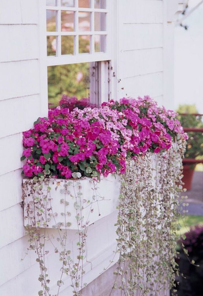 48 Beautiful Window Box Decorating Ideas