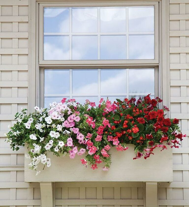 48 Beautiful Window Box Decorating Ideas