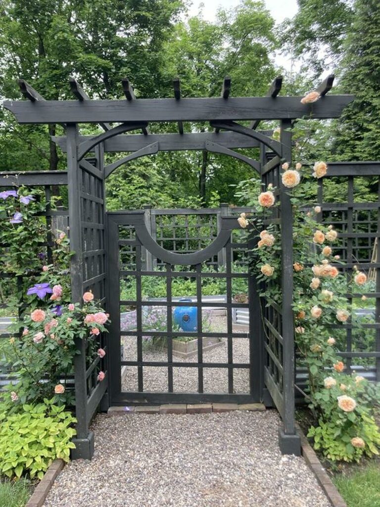 39 Enchanting Trellis Fence Ideas With Pros And Cons