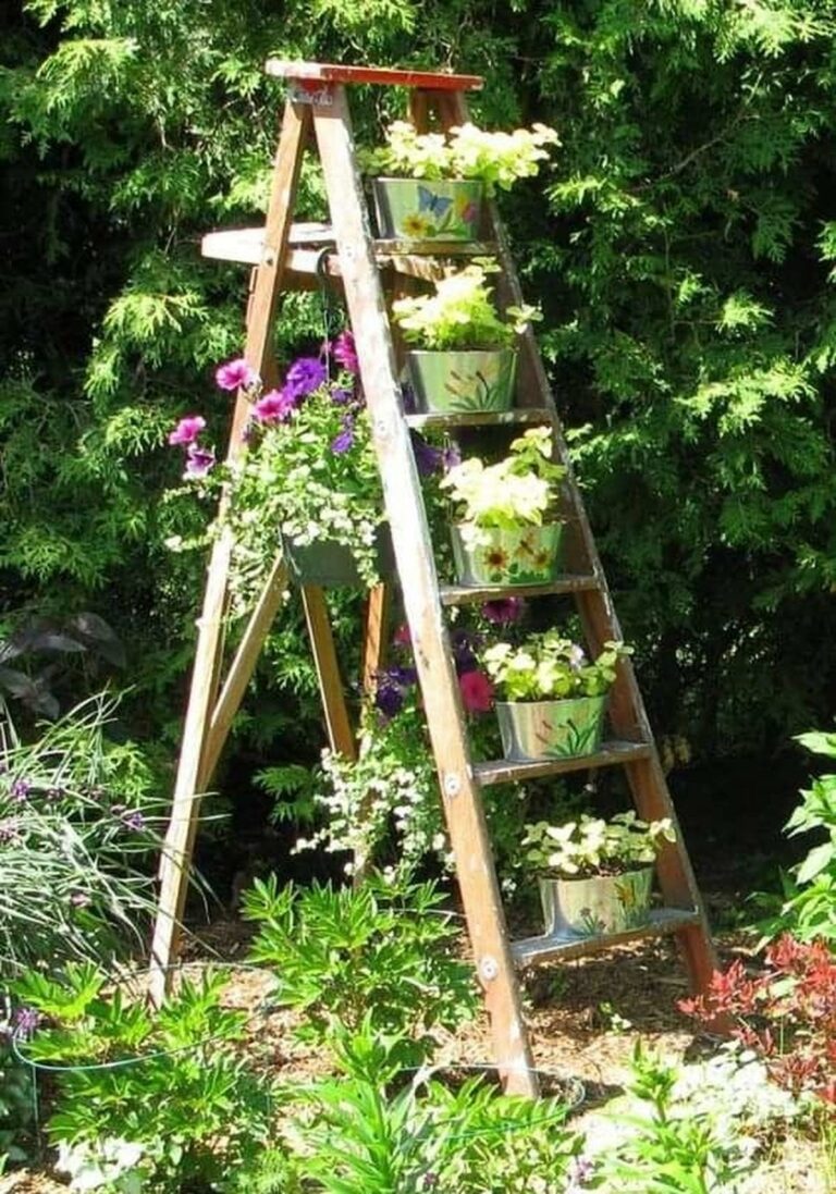 46 Vintage Ladder Garden Transformation Ideas