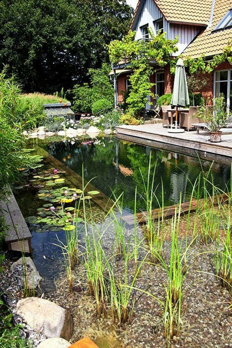 44 Beautiful Natural Swimming Pond and Pool Ideas