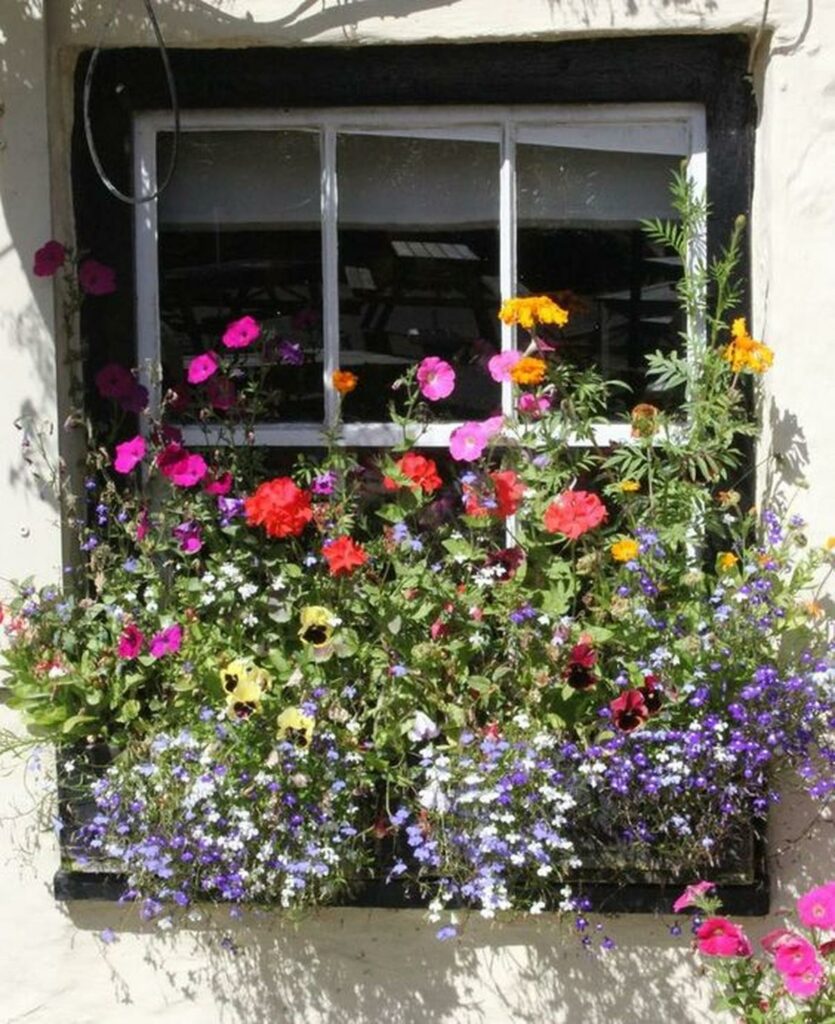 48 Beautiful Window Box Decorating Ideas