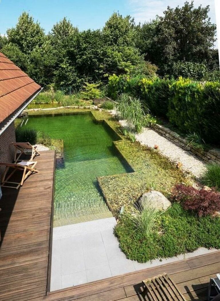44 Beautiful Natural Swimming Pond and Pool Ideas