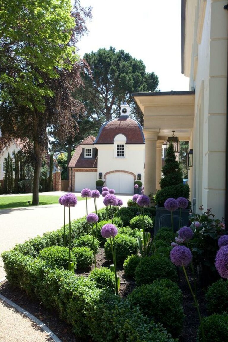 22 Best Plants for Low Hedge Landscaping