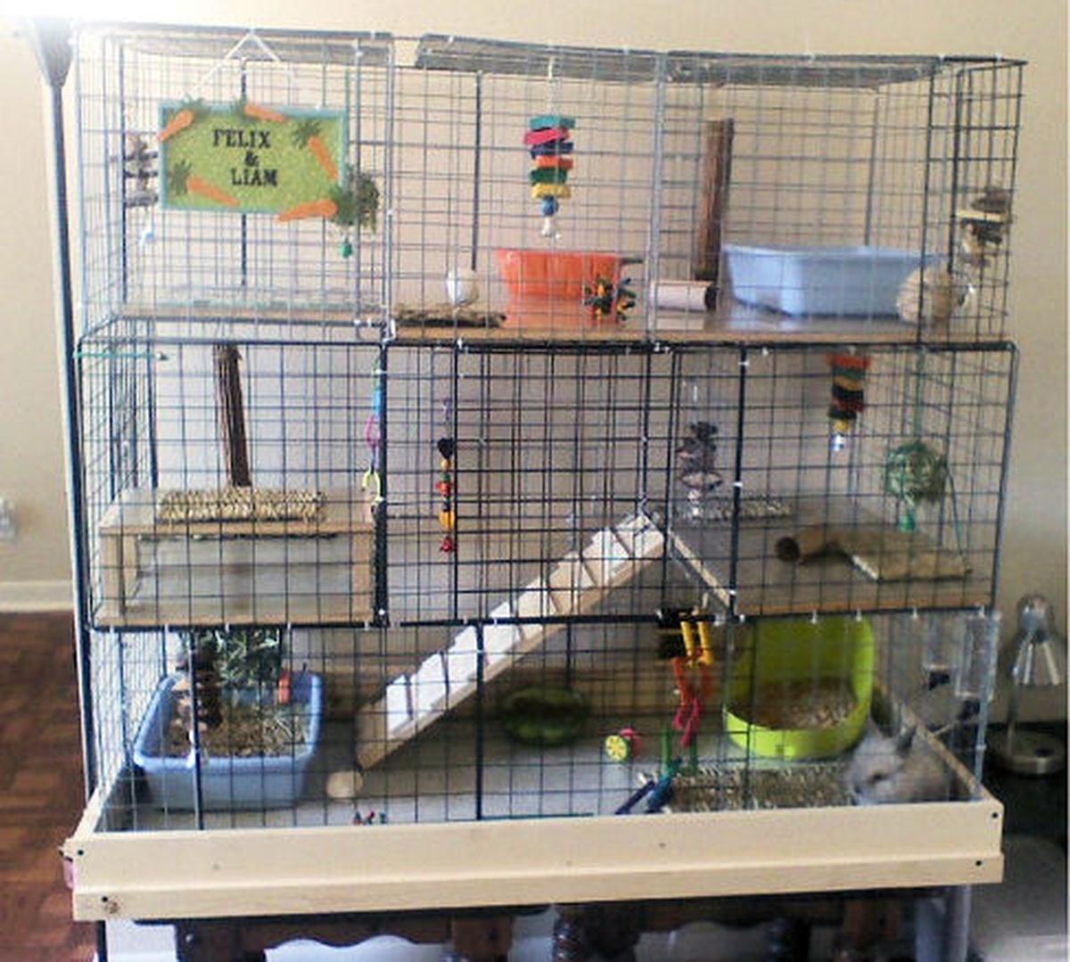10 Easy DIY Rabbit Hutches for Your Adorable Bunny Friend