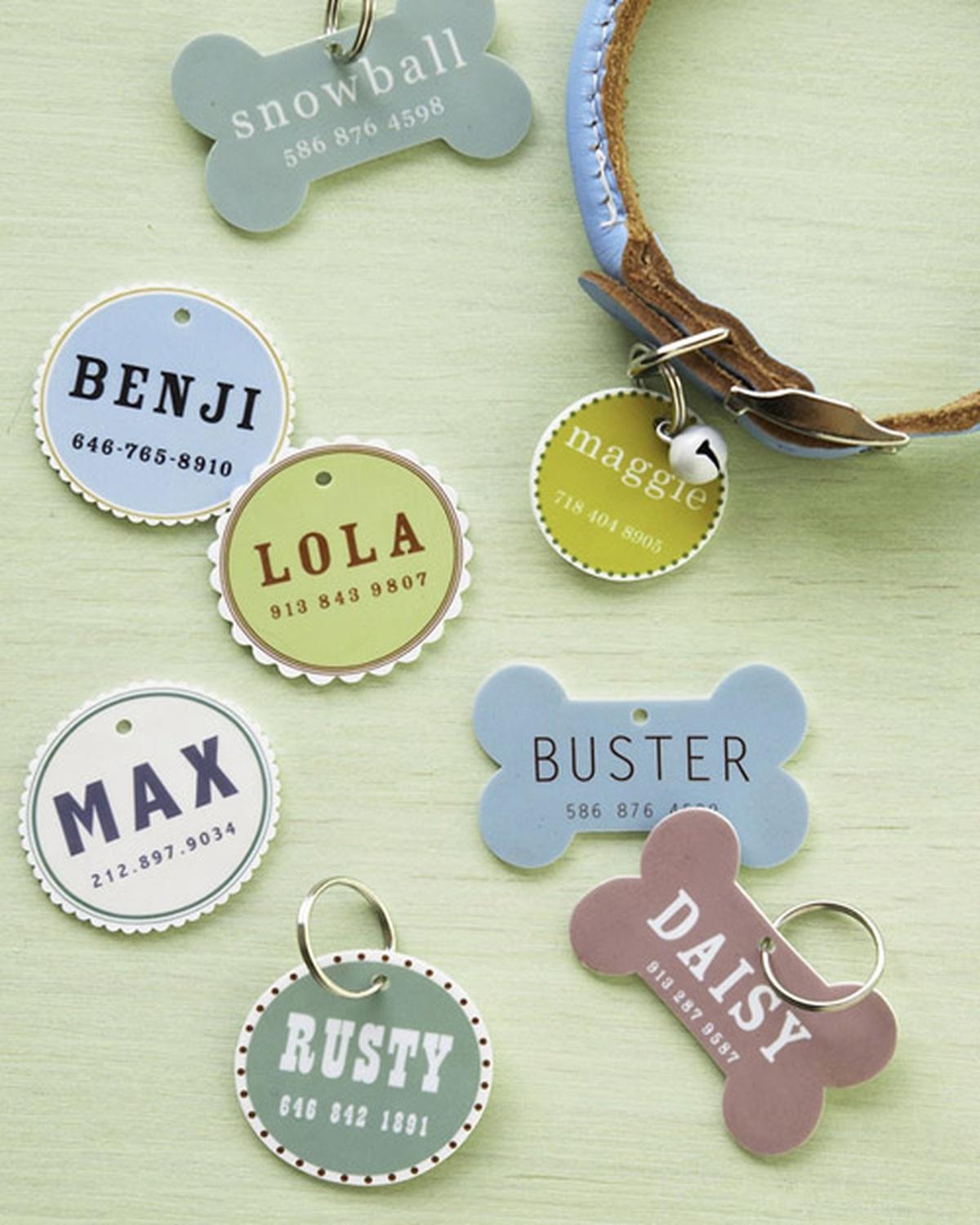 10 Easy DIY Dog Tag Ideas to Try at Home