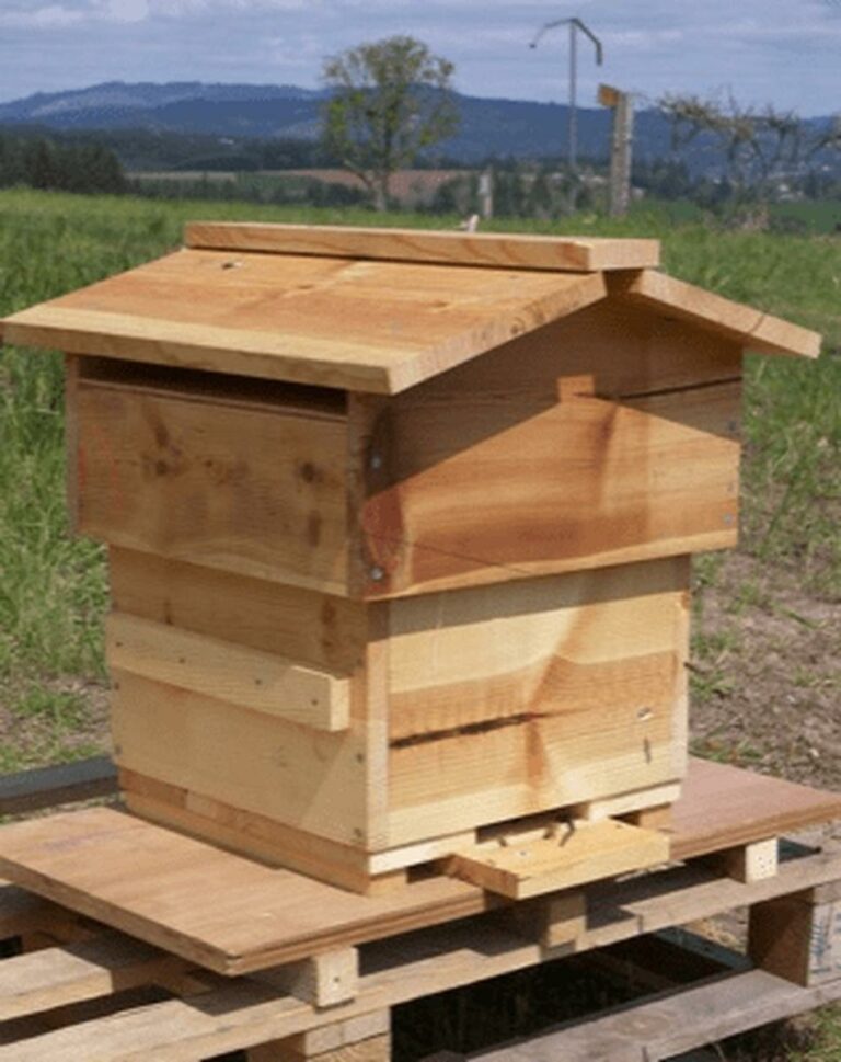 9 Simple DIY Beehive Projects You Can Build for Free