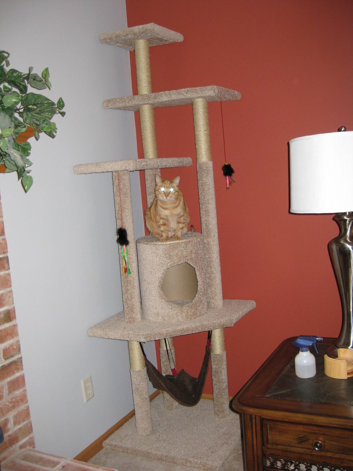 11 Fun DIY Cat Towers for Playful Felines