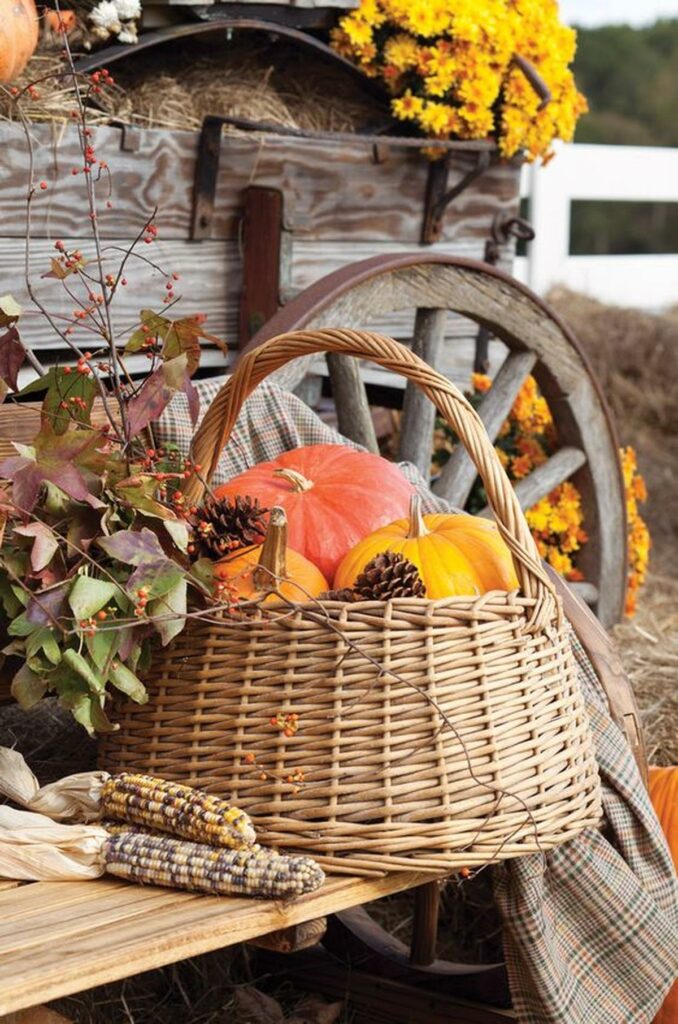 15 Autumn Basket Displays for Seasonal Style and Storage