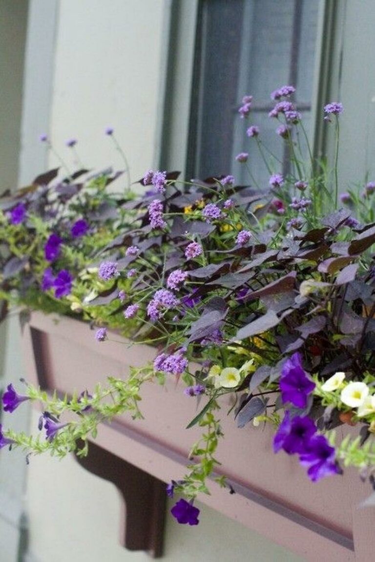 48 Beautiful Window Box Decorating Ideas