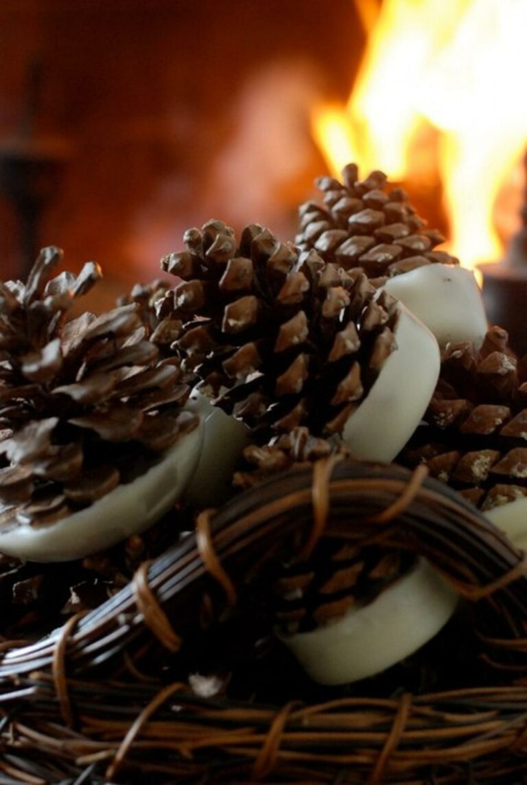 11 Genius DIY Fire Starter Tips for Easy Outdoor Survival