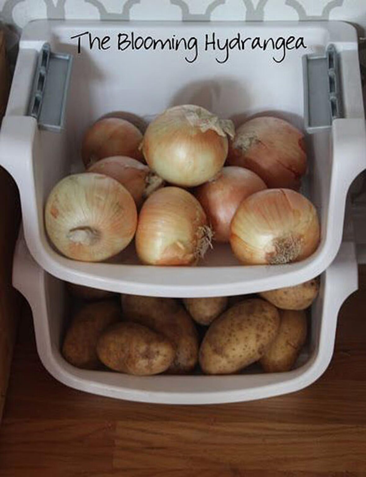 14 Creative Fruit and Vegetable Storage Solutions to Keep Your Kitchen Tidy