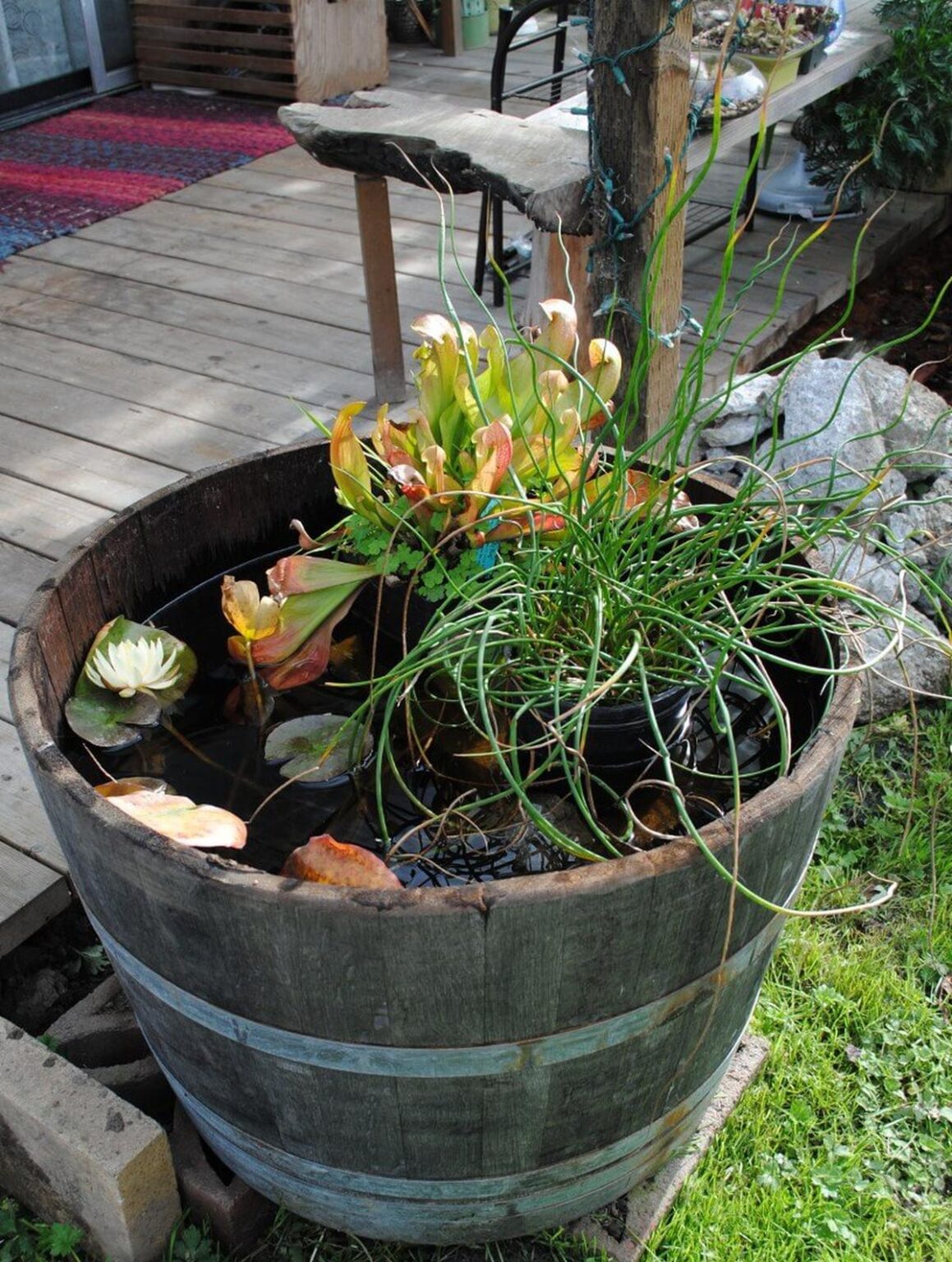 38 Clever Ways to Repurpose Old Wine Barrels