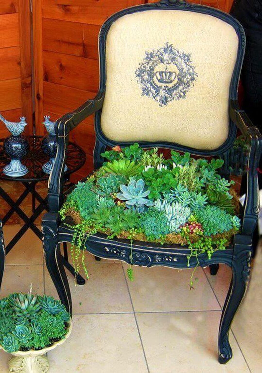 32 Innovative Succulent Planter Ideas for Indoors and Outdoors