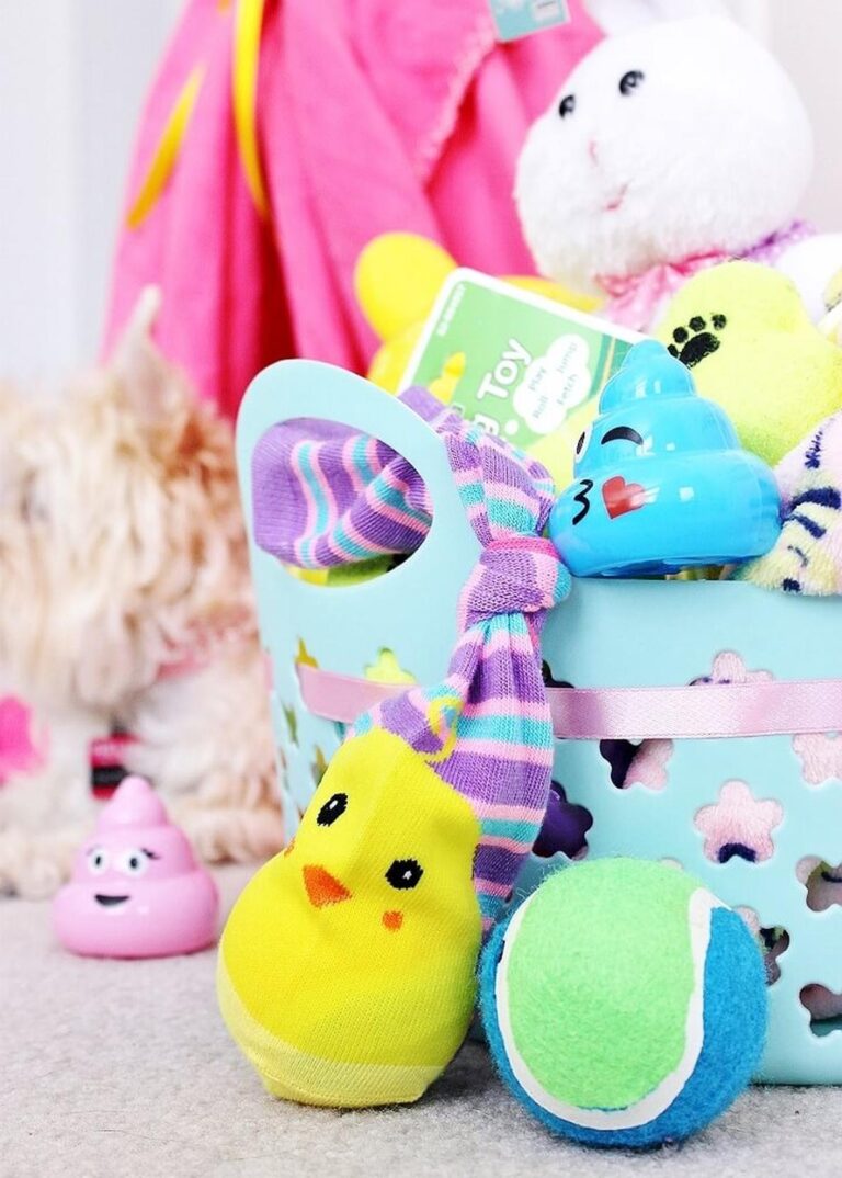 24 Affordable DIY Projects for Your Beloved Pets