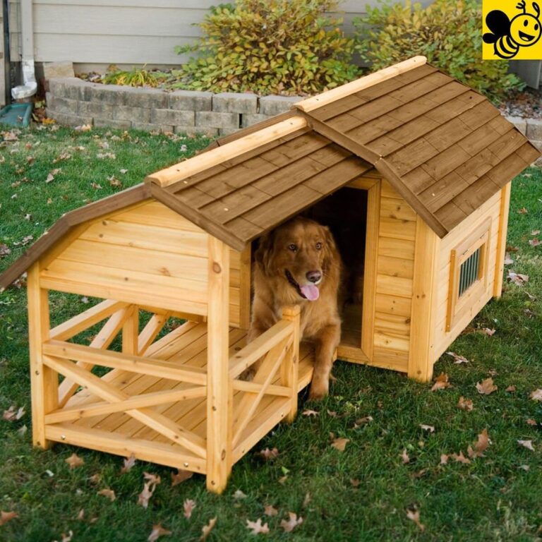 18 Adorable Outdoor Dog House Designs Your Pet Will Love