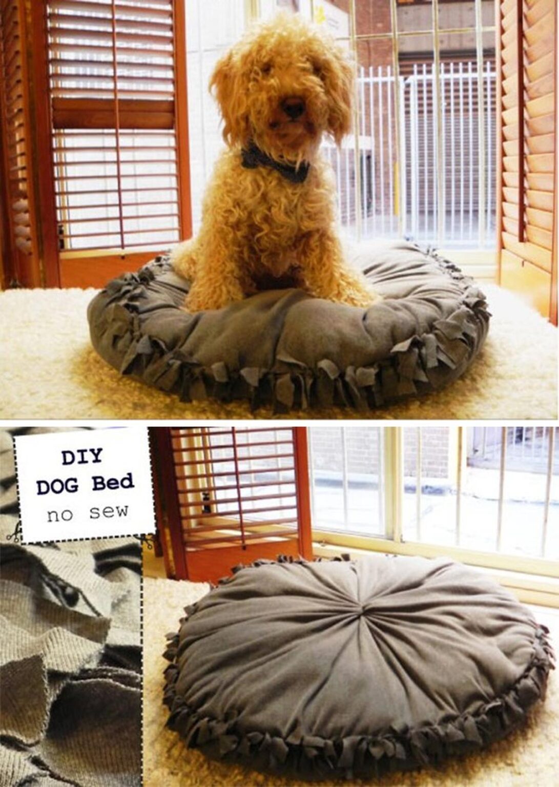 26 Cozy DIY Pet Bed Ideas to Pamper Your Furry Friends