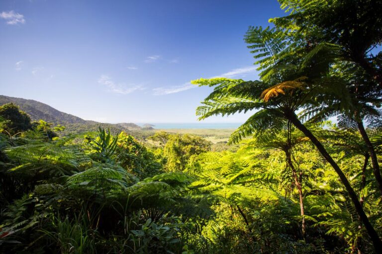 40 Types of Palm Trees for a Lush Tropical Ambiance