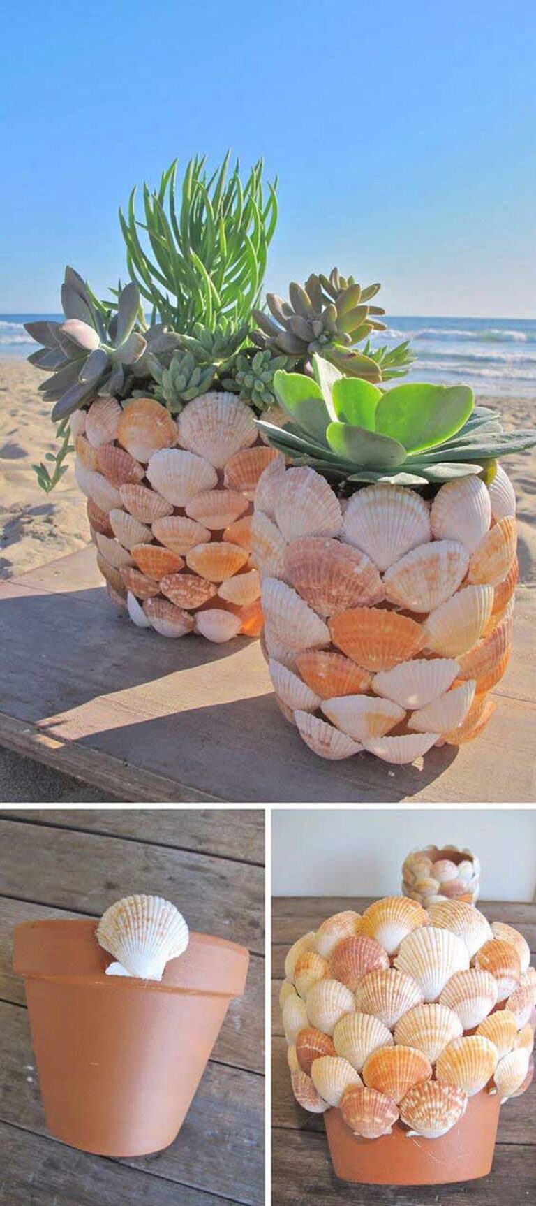 57 Best DIY Shell Project Ideas for Coastal Vibes
