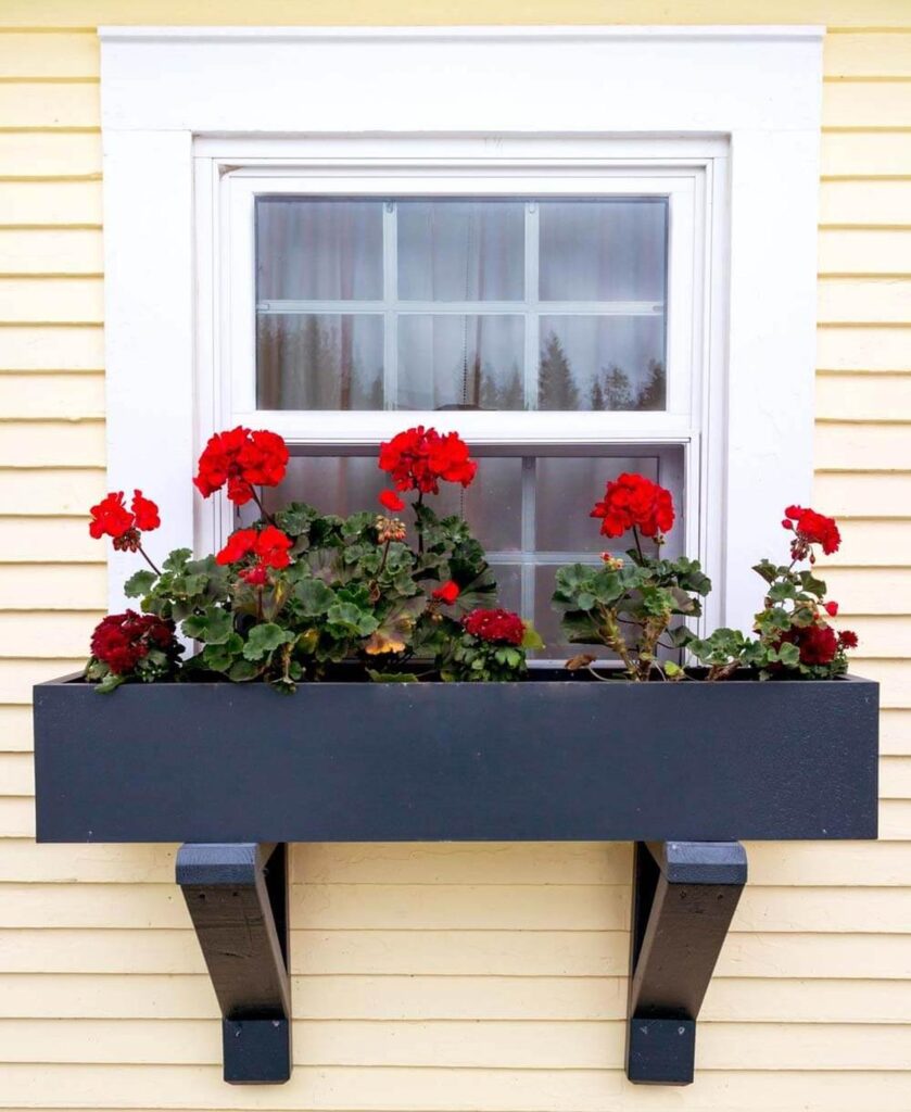 25 Gorgeous Window Box Ideas for Year-Round Color