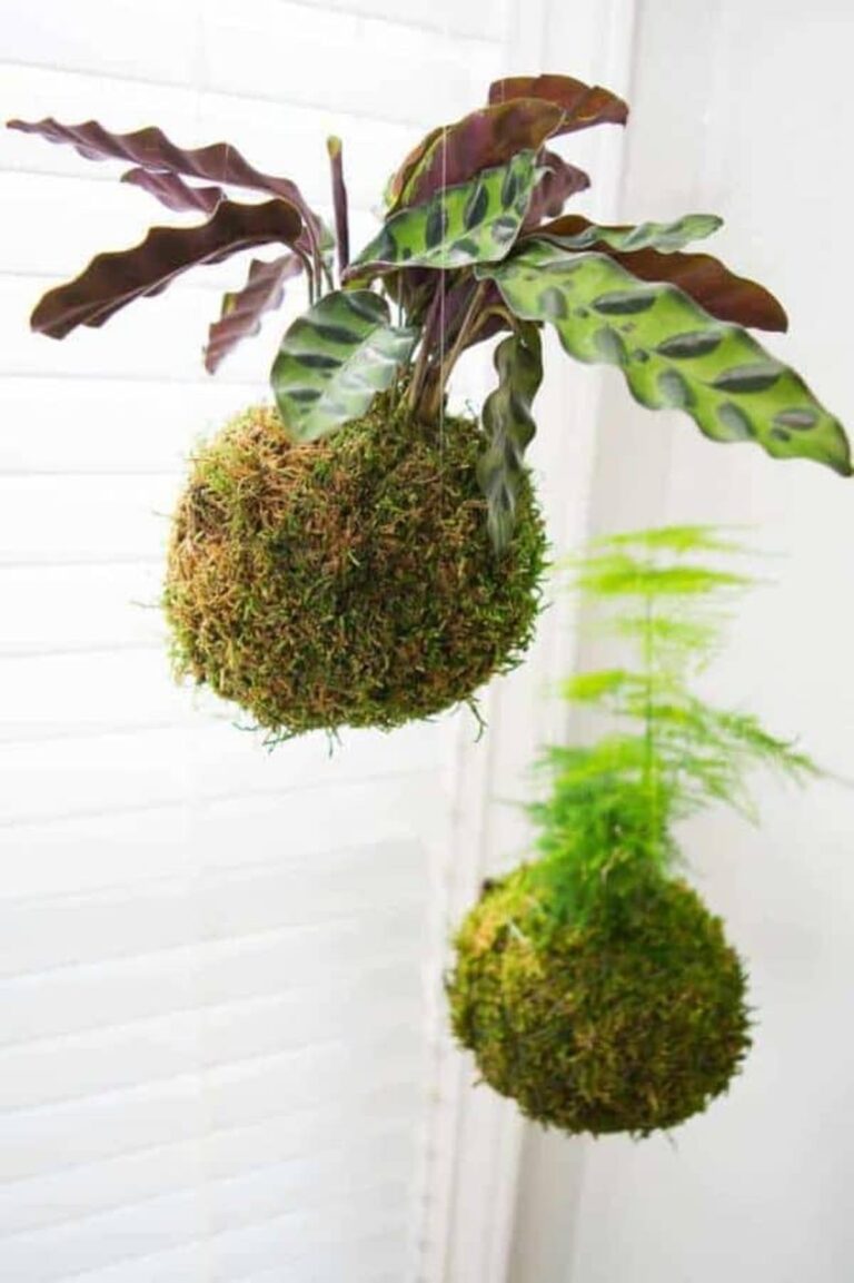 21 Beautiful and Affordable Dollar Store Spring Decor Ideas