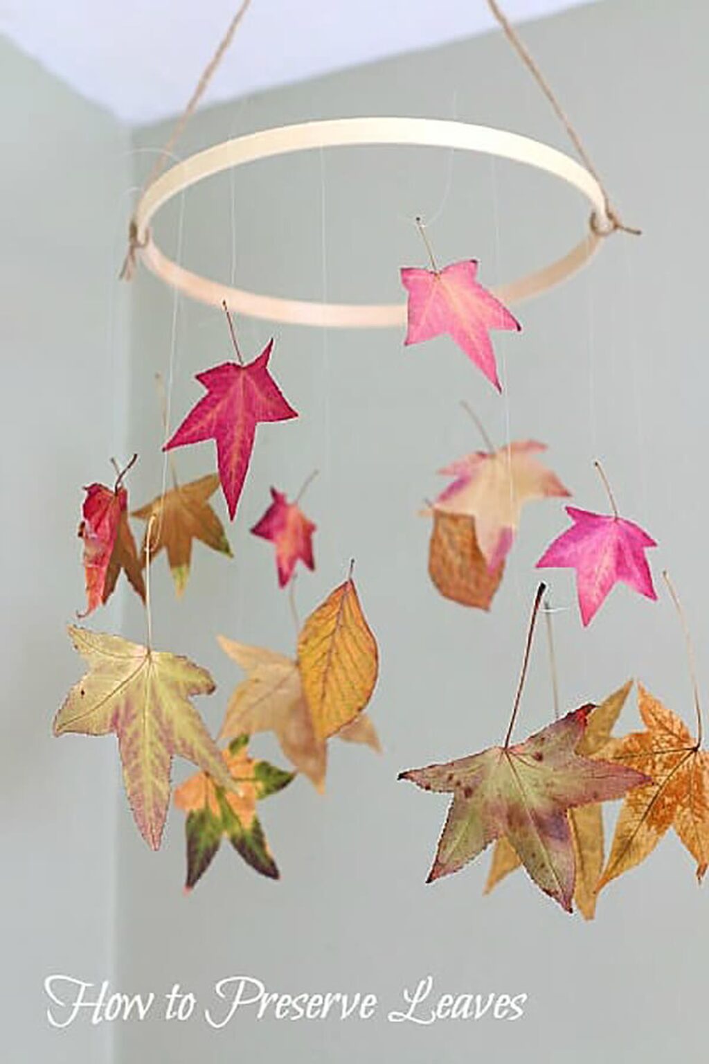 23 Creative DIY Leaf Art Projects to Showcase Your Collection