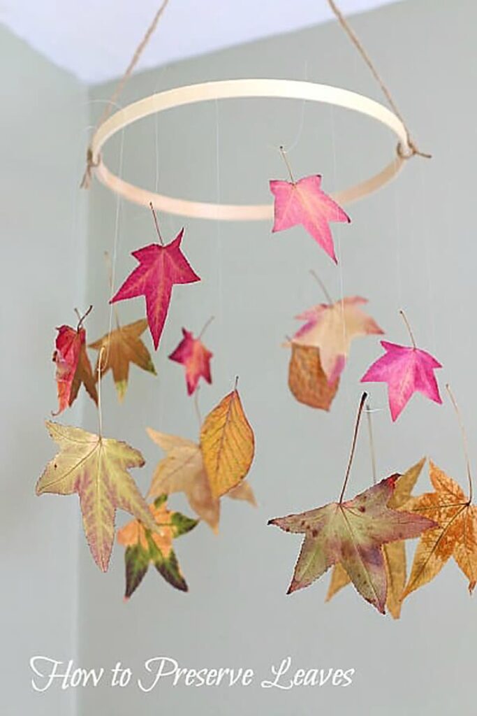 23 Creative DIY Leaf Art Projects to Showcase Your Collection