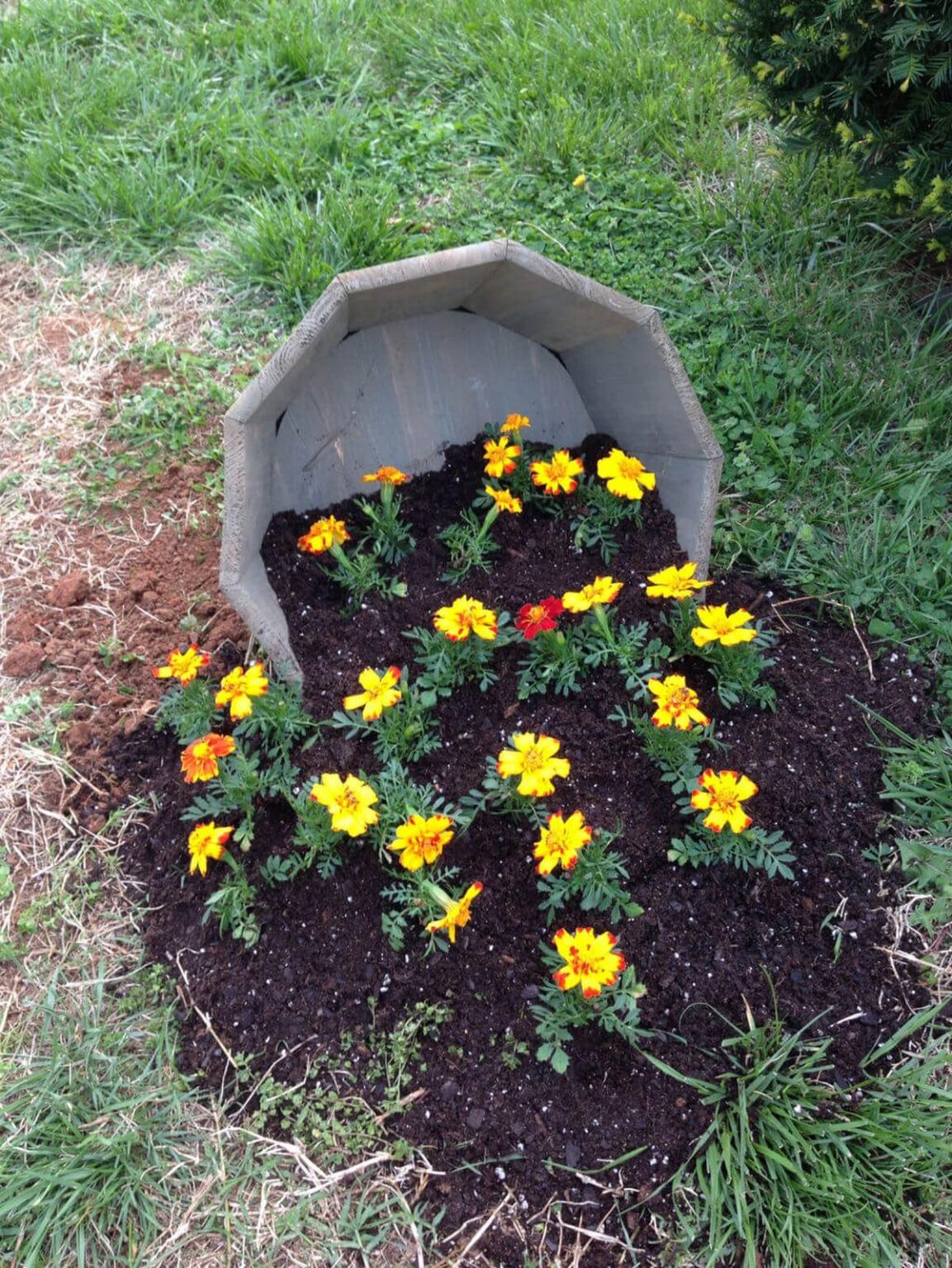 22 Charming Spilled Flower Pot Ideas to Decorate Your Outdoor Space