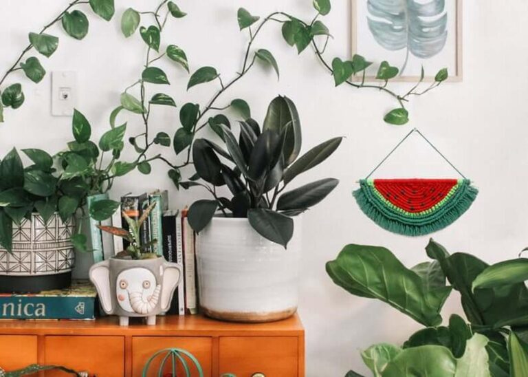 26 Colorful Fruit Decor Inspirations for a Sweet and Stylish Home