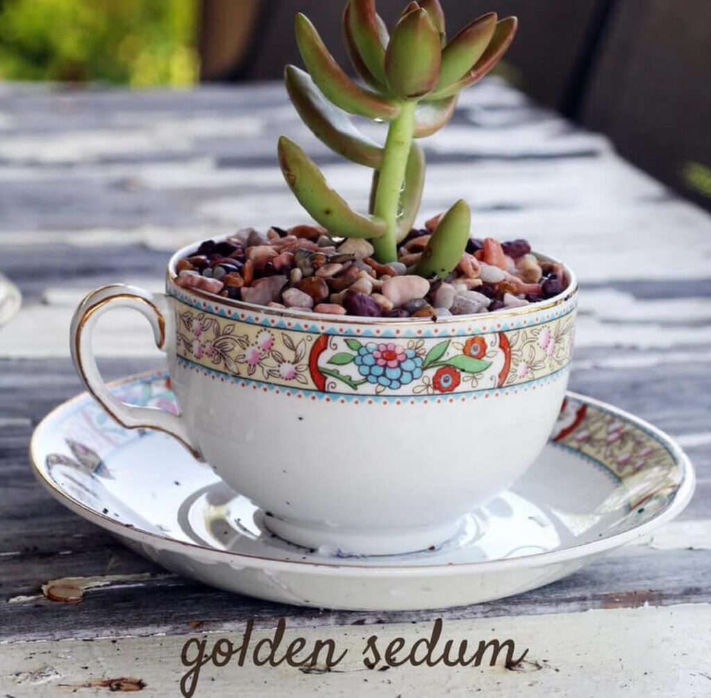 21 Fun and Unique Tea Cup Upcycling Ideas