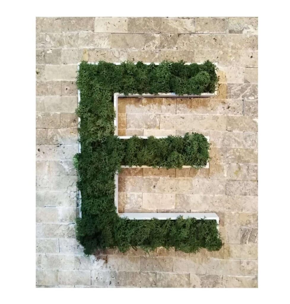 29 Creative Moss Wall Art Designs to Refresh Your Decor