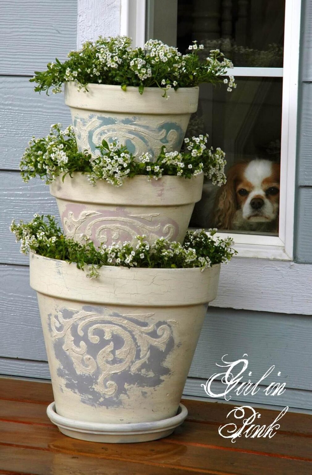 22 Easy Potted Plant Arrangement Inspirations