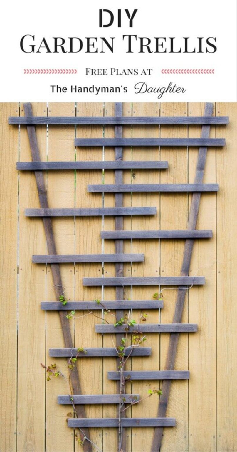 23 Quick and Simple DIY Trellis Projects for Weekend Gardening