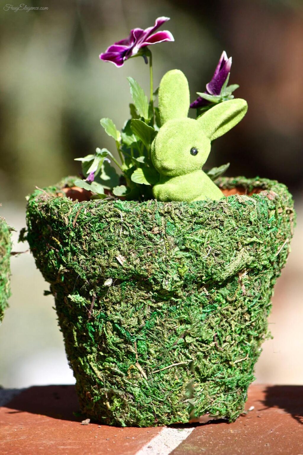 25 Best Spring Planter Ideas to Add Color to Your Home and Garden