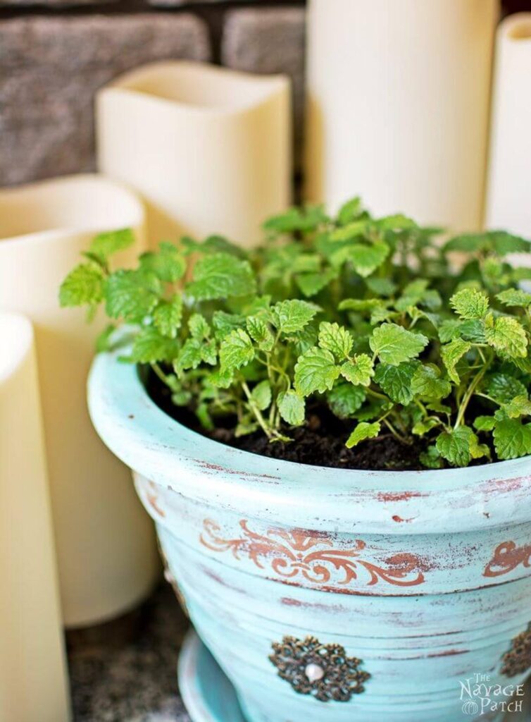 29 Creative Flower Pot Projects for Trendy Gardeners