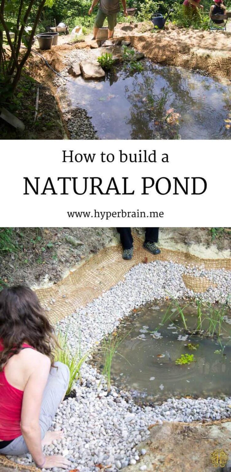 18 DIY Pond Projects to Enhance Your Garden's Beauty