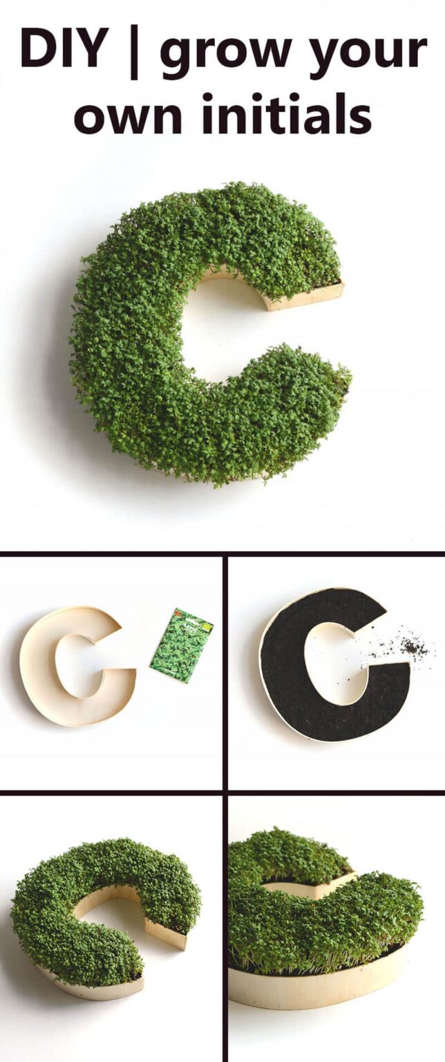 28 DIY Letter Projects for Fun and Affordable Crafting