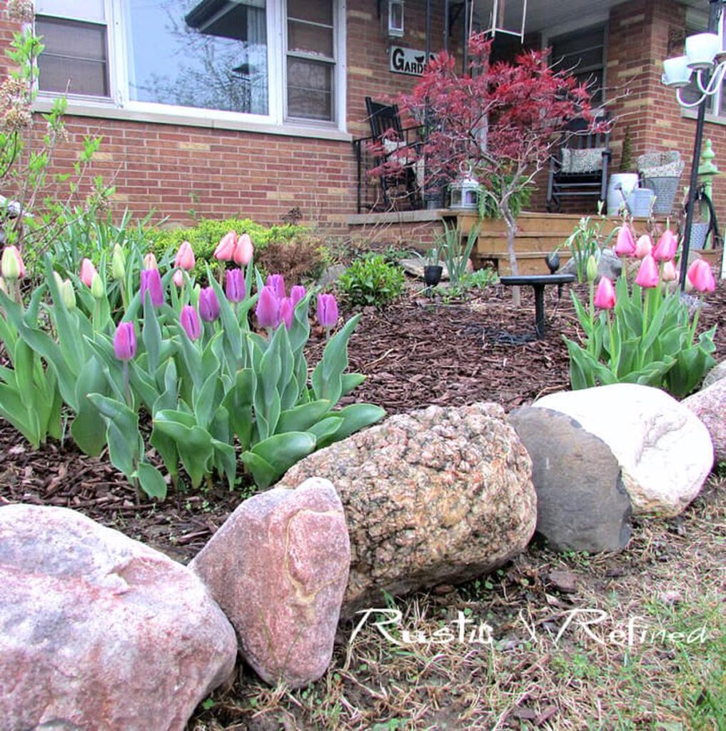 25 Inspiring Spring Garden Ideas to Refresh Your Outdoor Space