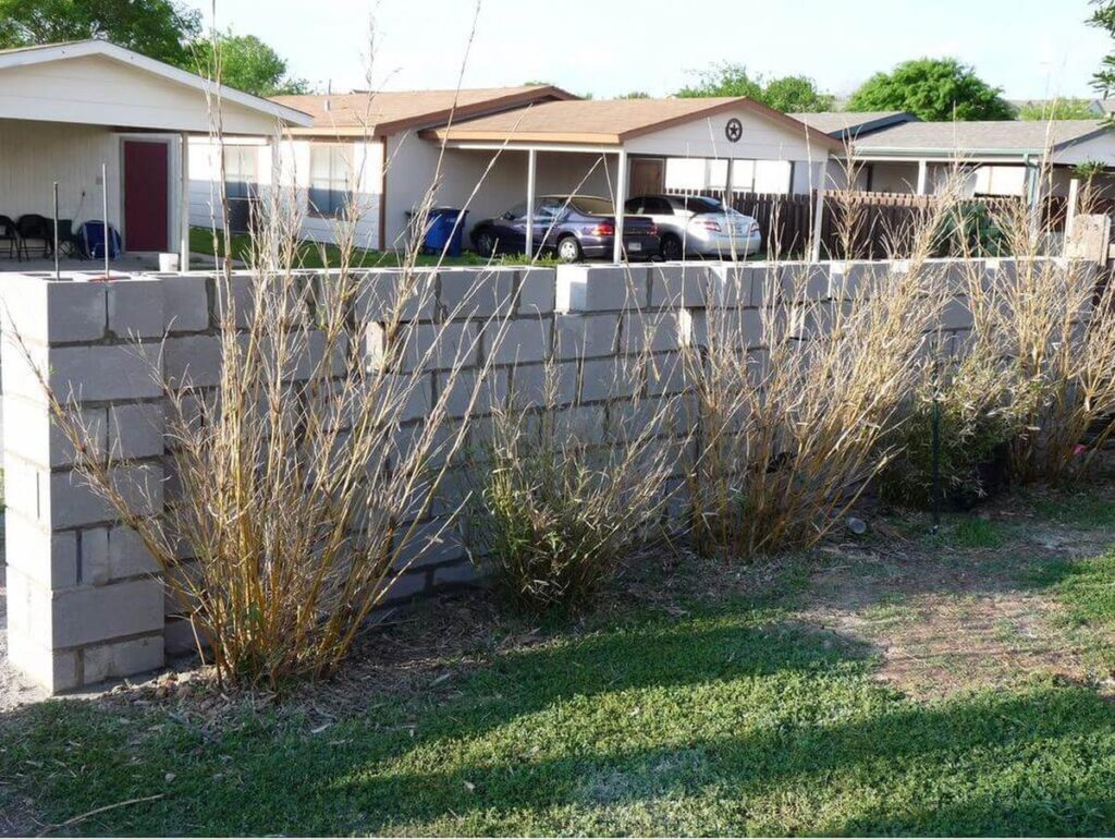 24 Innovative DIY Fencing Projects to Define Your Yard