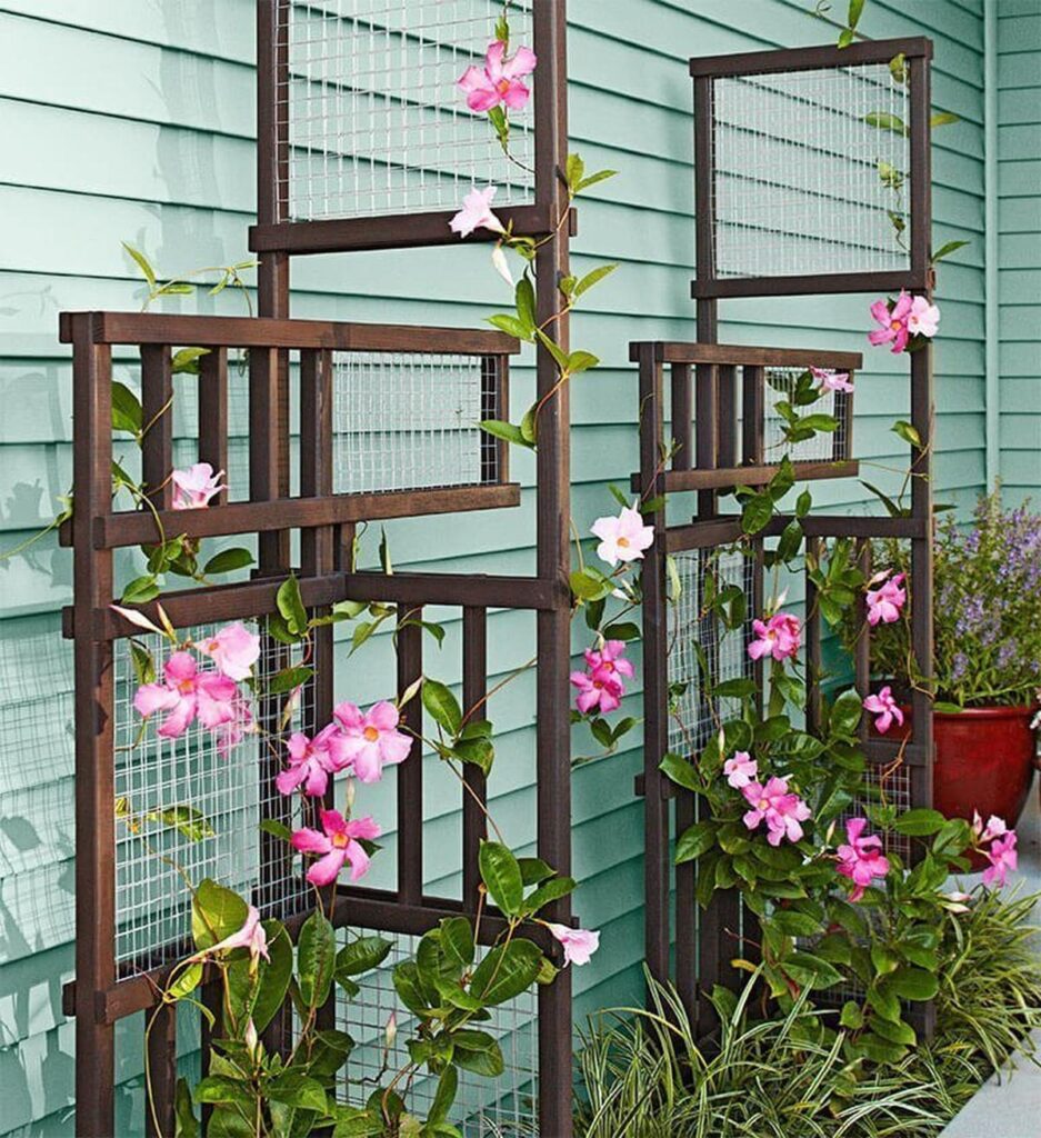 23 Quick and Simple DIY Trellis Projects for Weekend Gardening