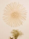 21 Creative Bamboo Decor Ideas for a Stylish Home