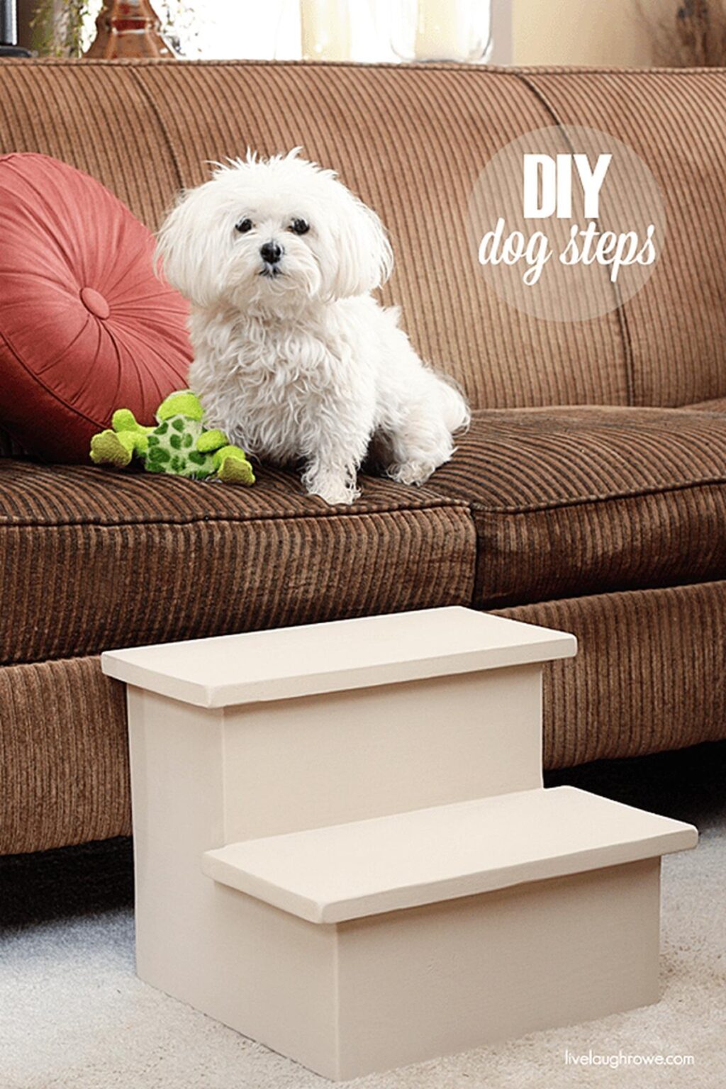24 Affordable DIY Projects for Your Beloved Pets