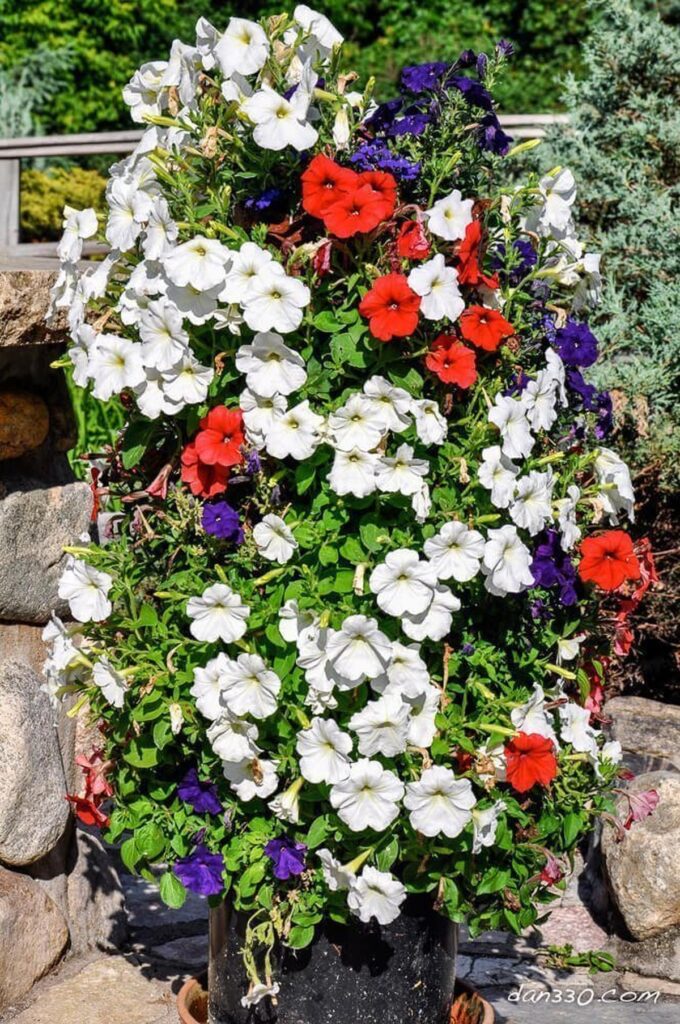 20 Quick and Easy Flower Towers to Build This Weekend