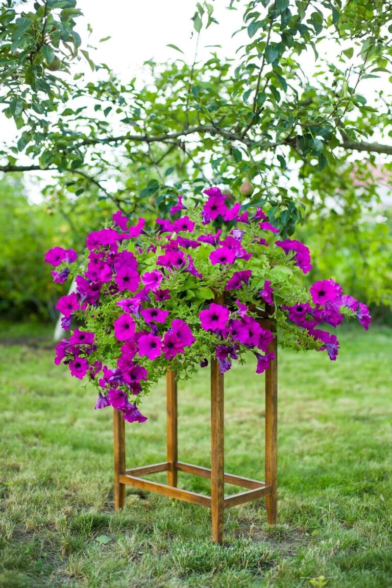 30 DIY Stylish Plant Stands to Show Off Your Garden