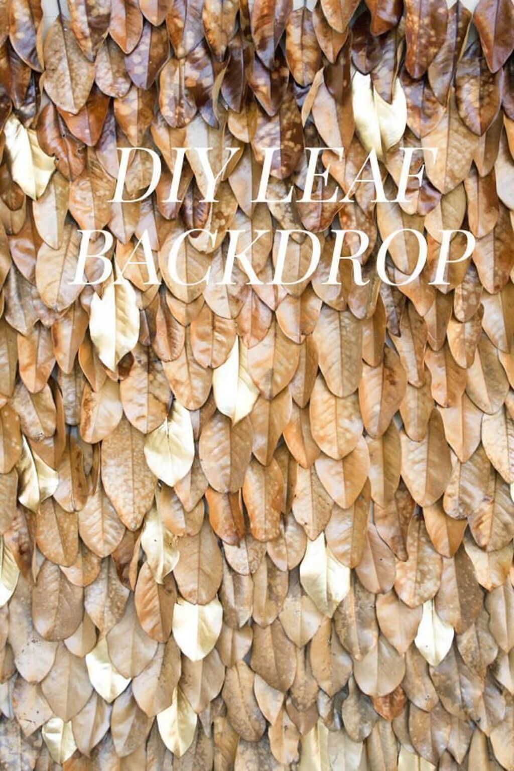 25 Must-Try Colorful DIY Fall Leaf Crafts for the Season